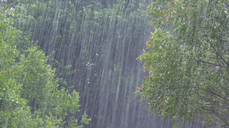 Rain: The great enemy of Singapore’s building infrastructure